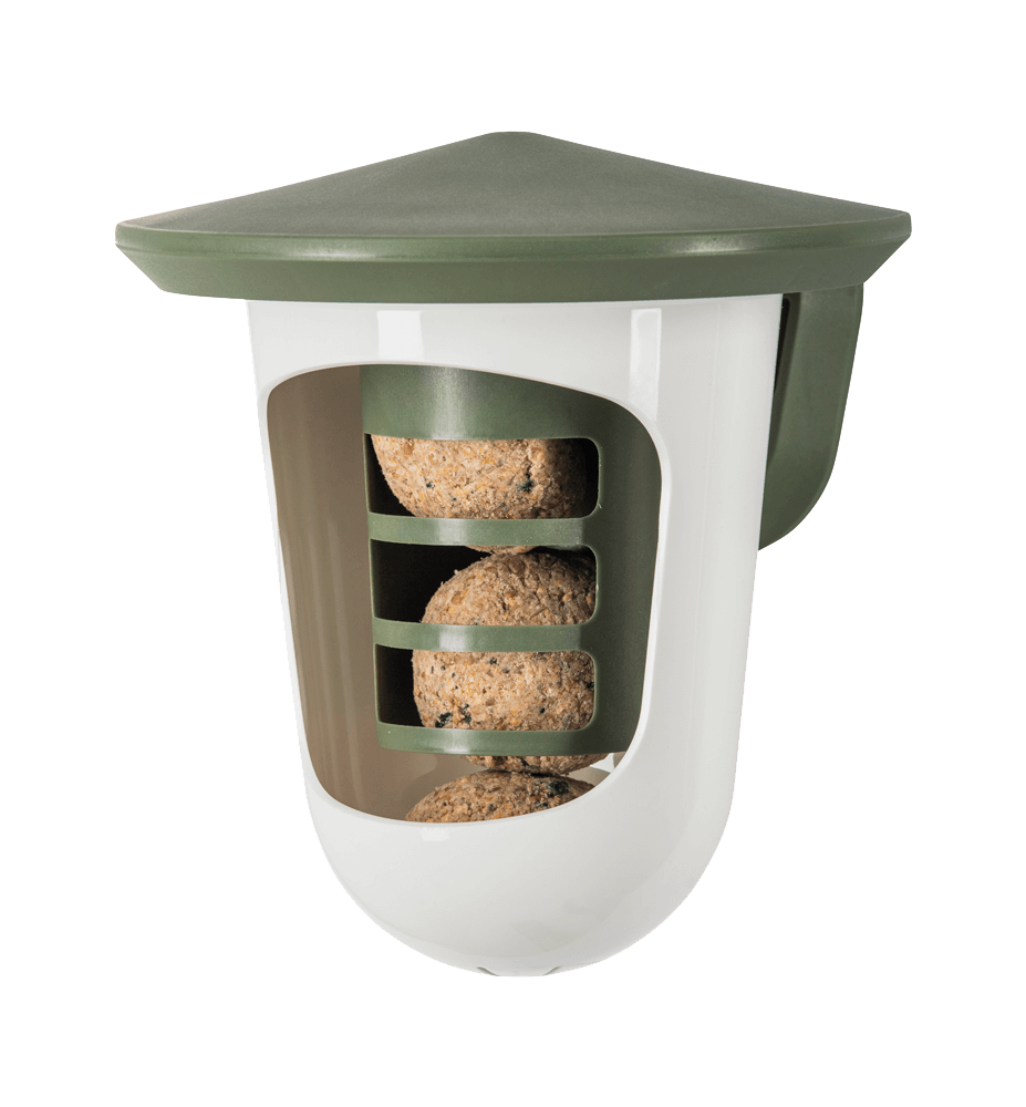 Multi feedR - SingingFriend