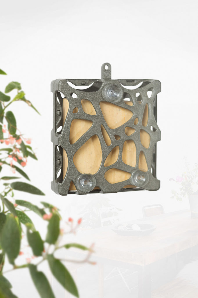 Anna window - SingingFriend