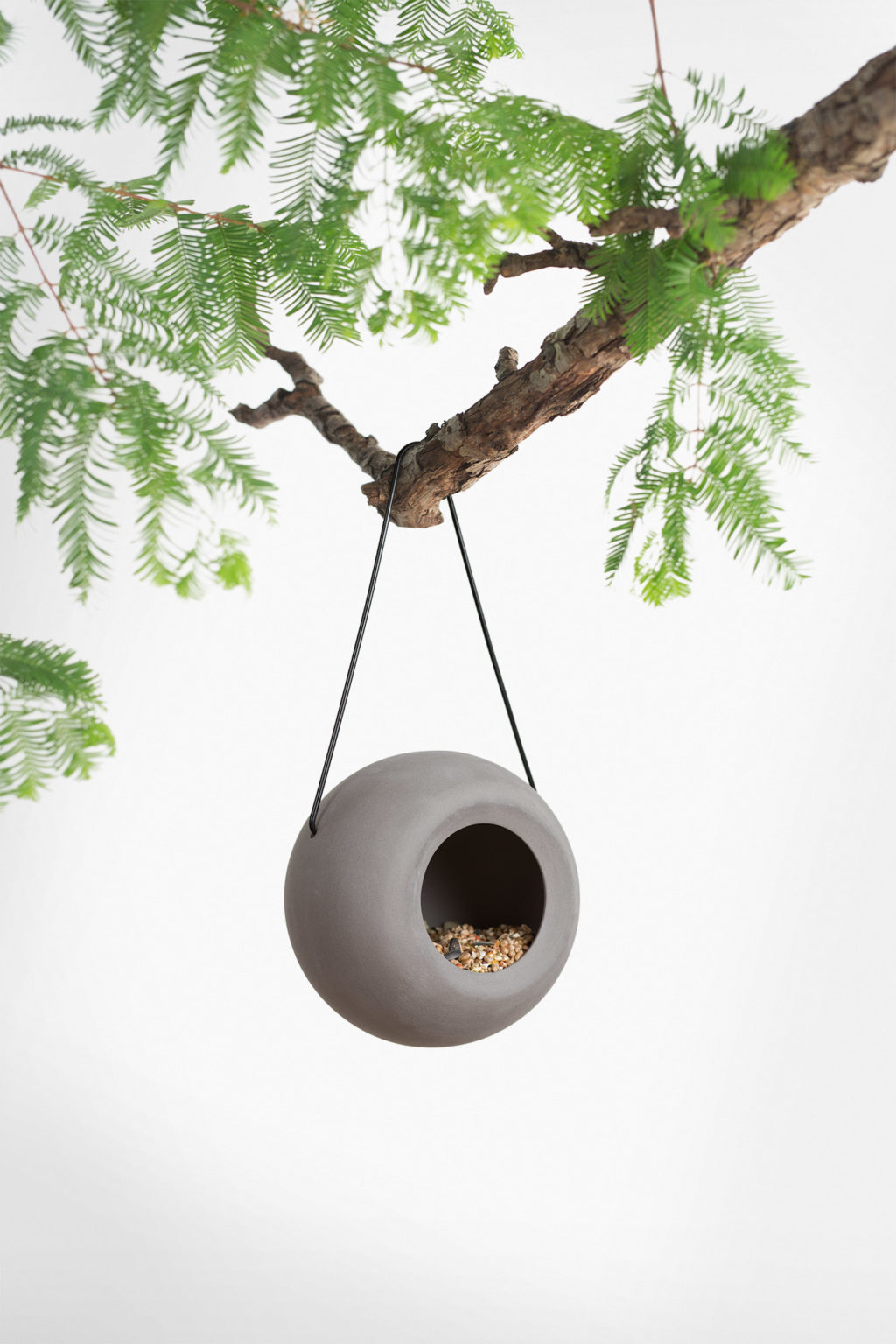 Home - SingingFriend