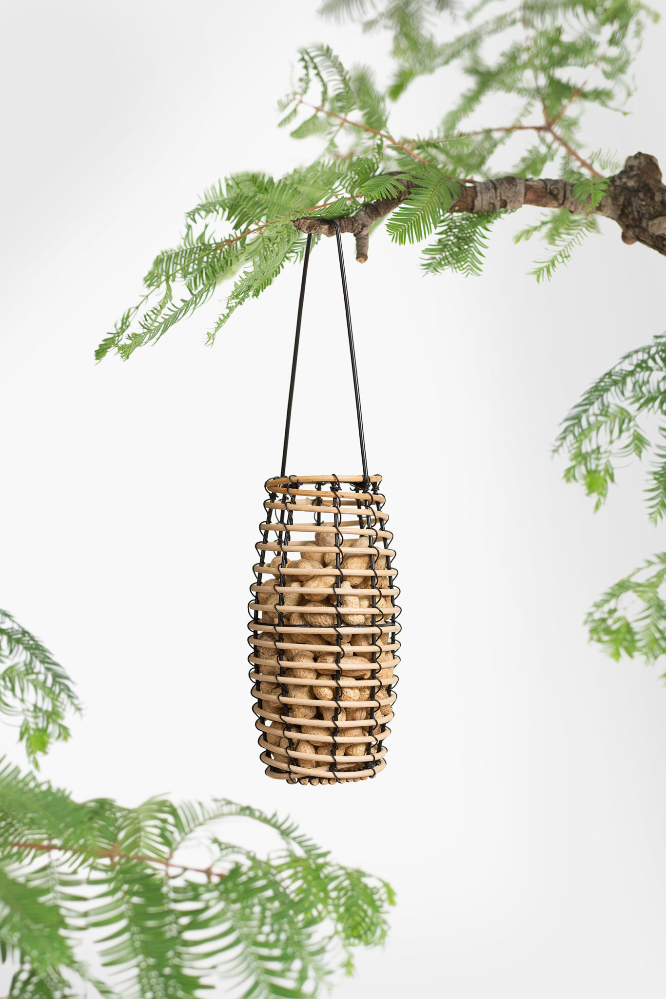 Products - SingingFriend