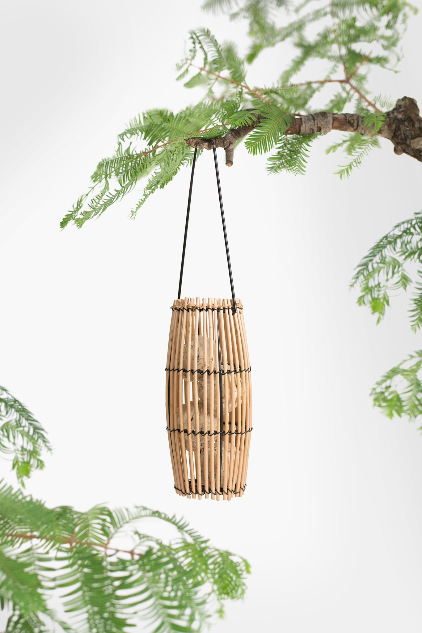 Nyah - SingingFriend